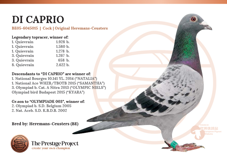 SON DI CAPRIO 750 - DIRK VAN DYCK - The Prestige Project